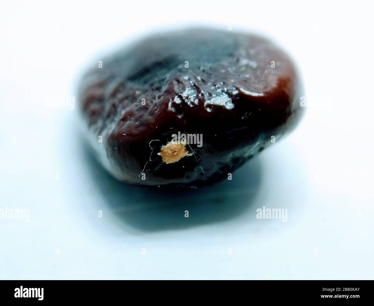 A picture of tamarind seeds Stock Photo - Alamy