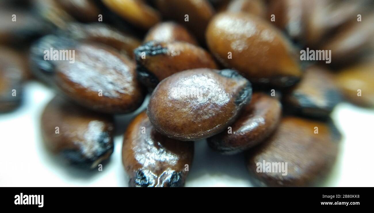 A picture of watermelon seeds Stock Photo - Alamy