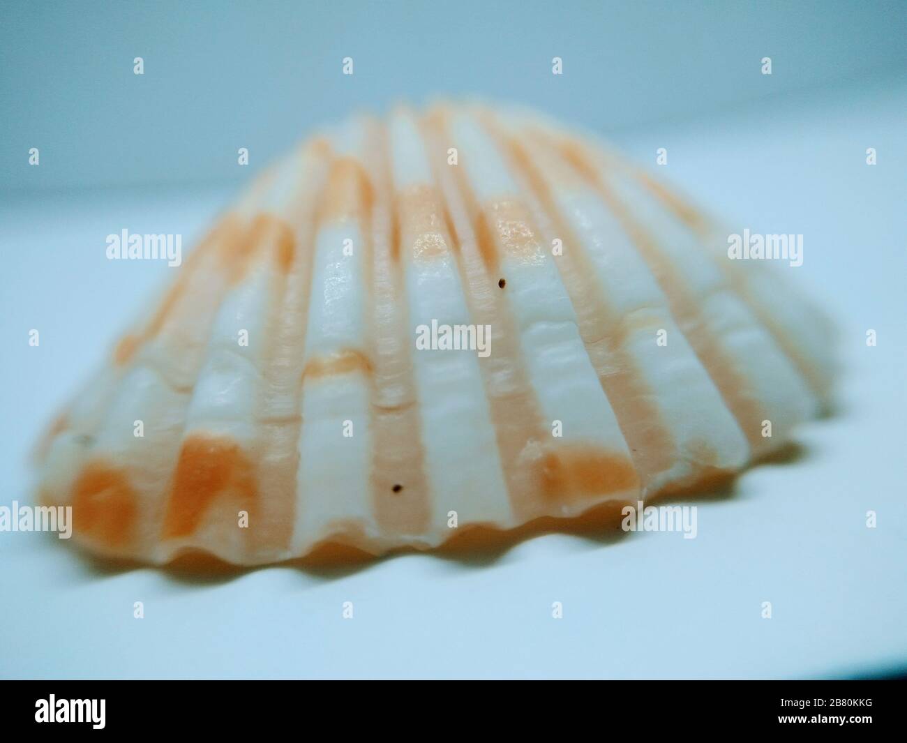 A picture of sea stone Stock Photo - Alamy