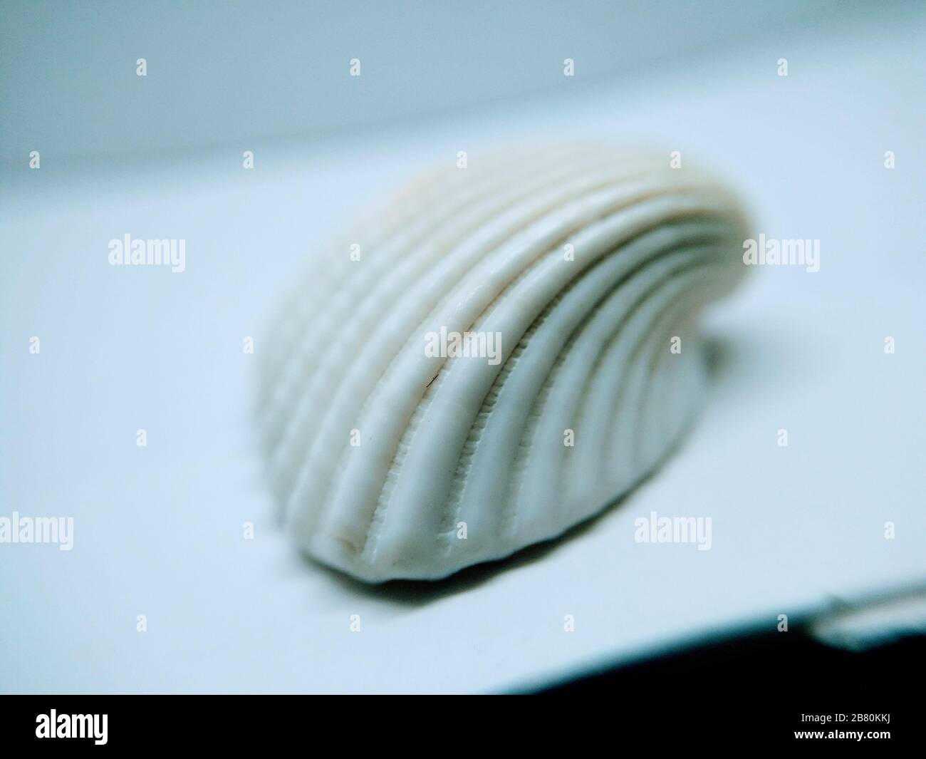 A picture of sea stone Stock Photo - Alamy