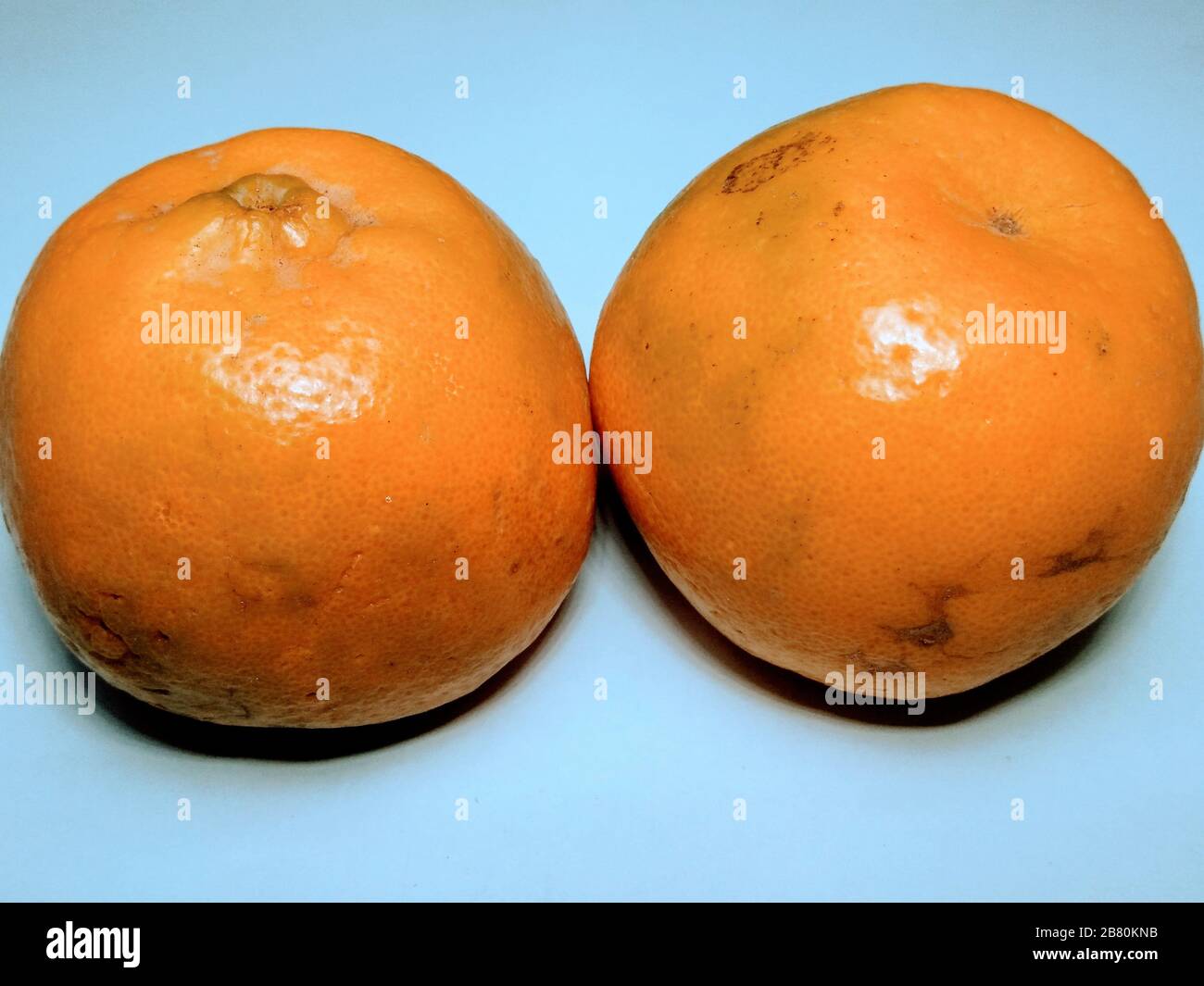 A picture of orange Stock Photo - Alamy