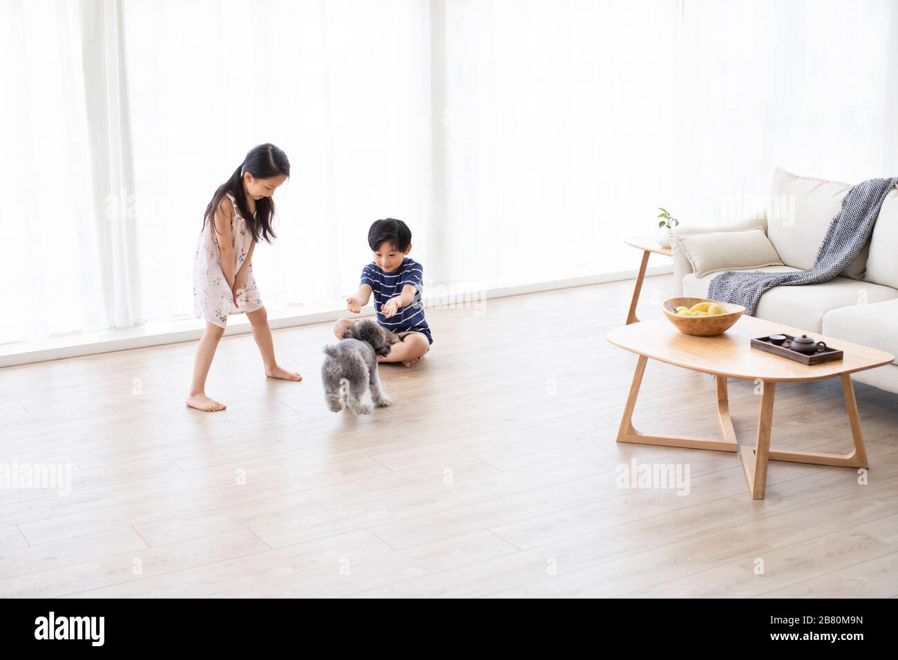 Happy Chinese sibling playing with dog in living room Stock Photo - Alamy