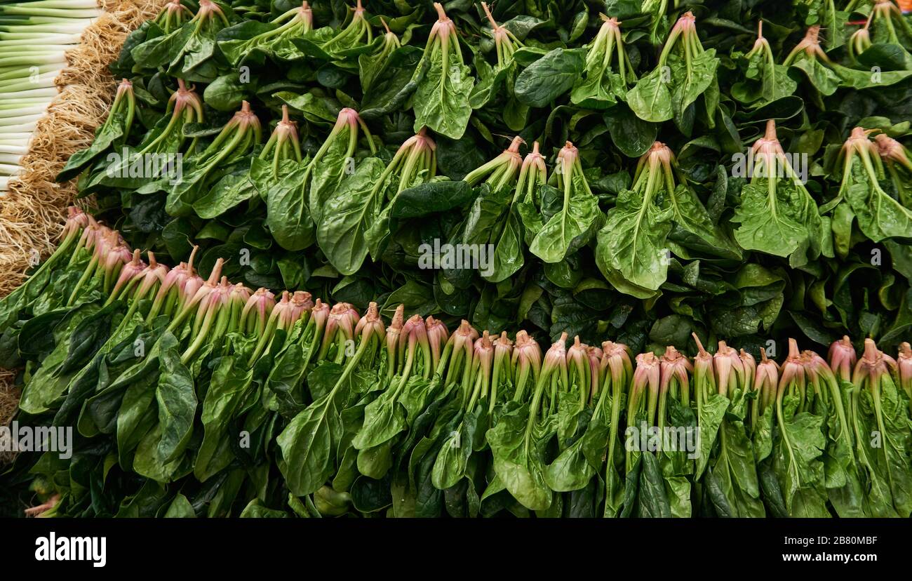 Fresh and organic spinach in the local market Stock Photo - Alamy