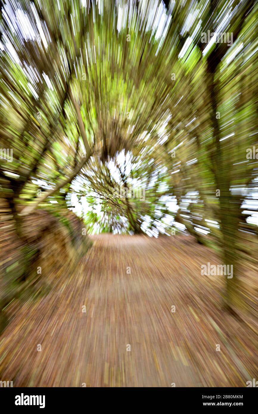 Zooming in hi-res stock photography and images - Alamy