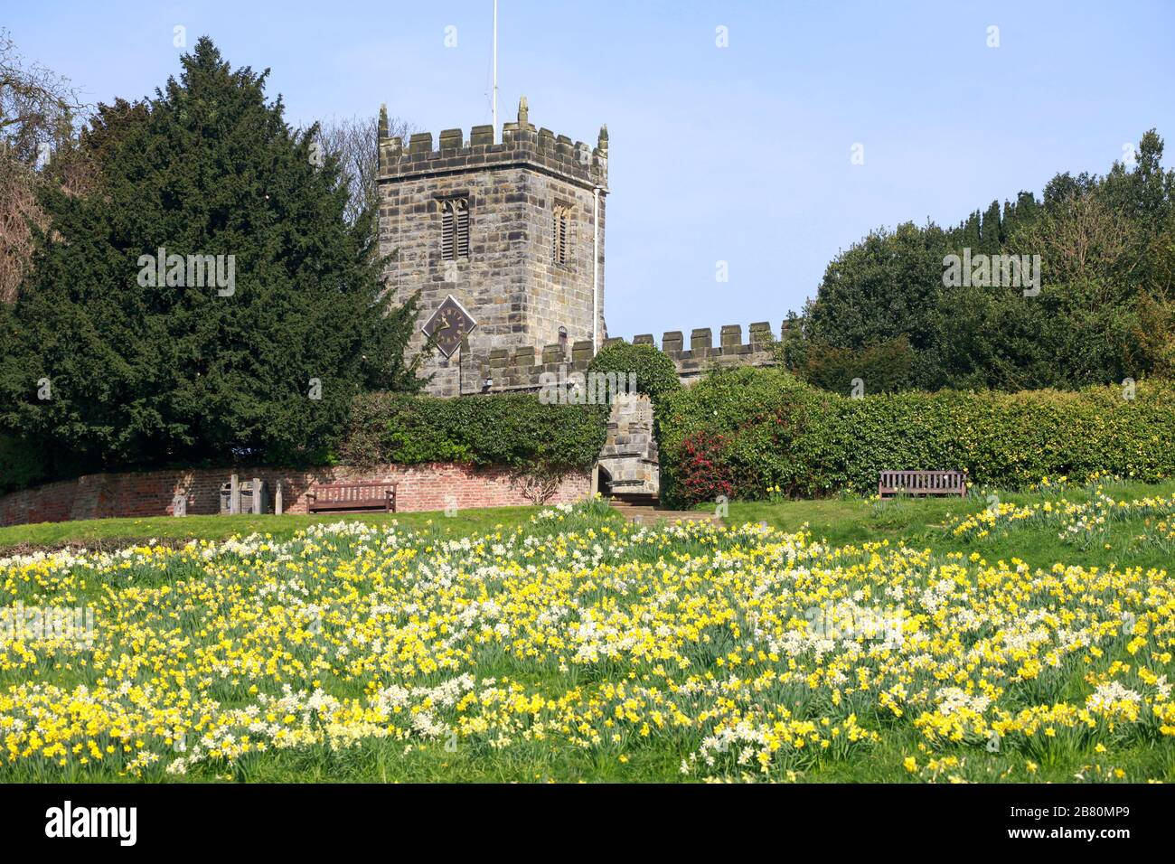 Daffodils in flower on the sloping village green of the attractive ...
