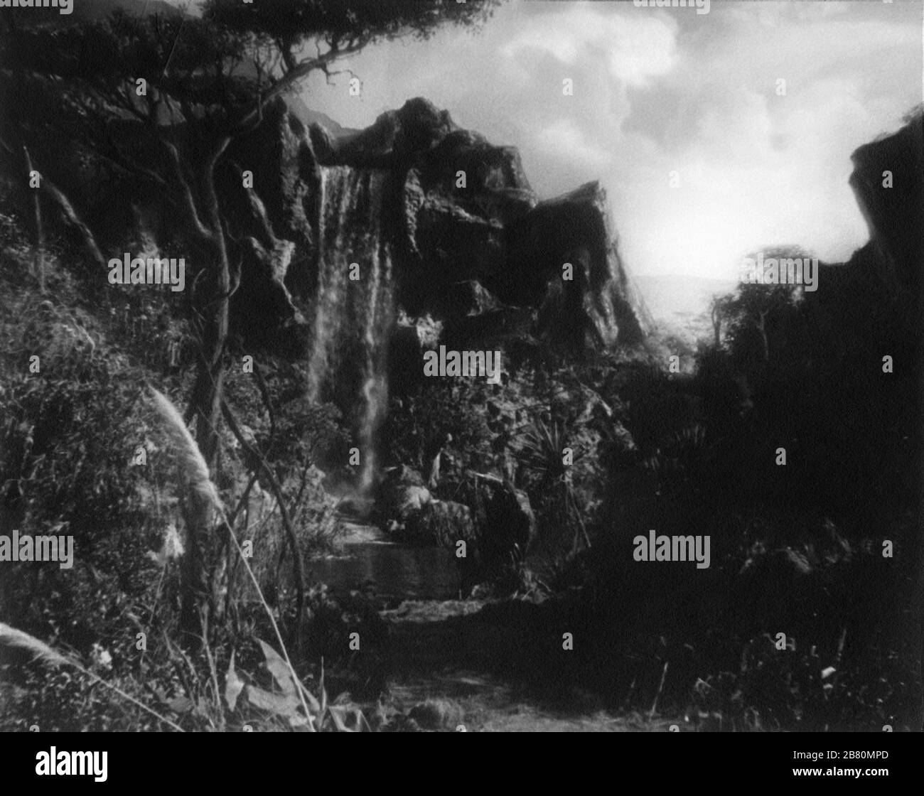 NEWCOMBE Special Effects Reference Photo for background art effects by ...