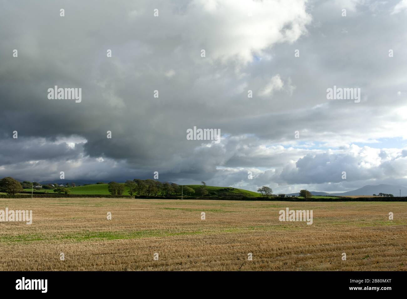 Dry grassy field under a cloudy sky in the countryside of Wales Stock ...