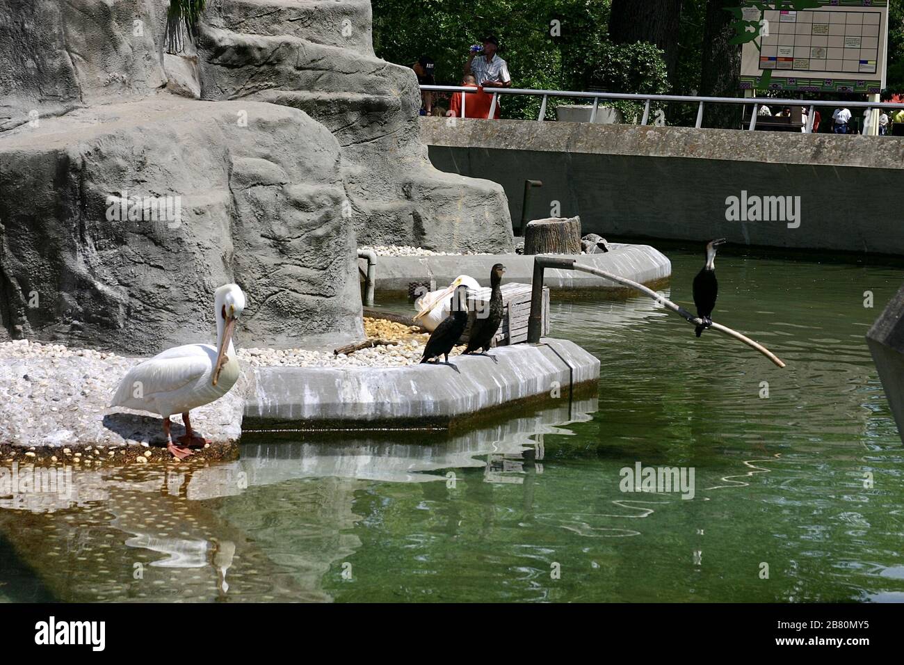 Birds in zoo Stock Photo - Alamy