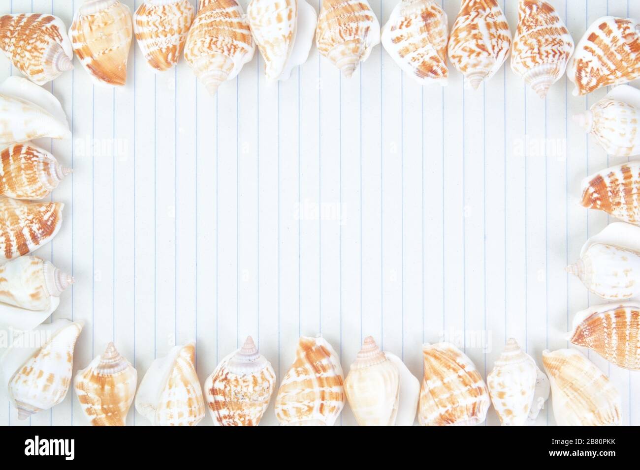 Frame made of shells on paper Stock Photo - Alamy