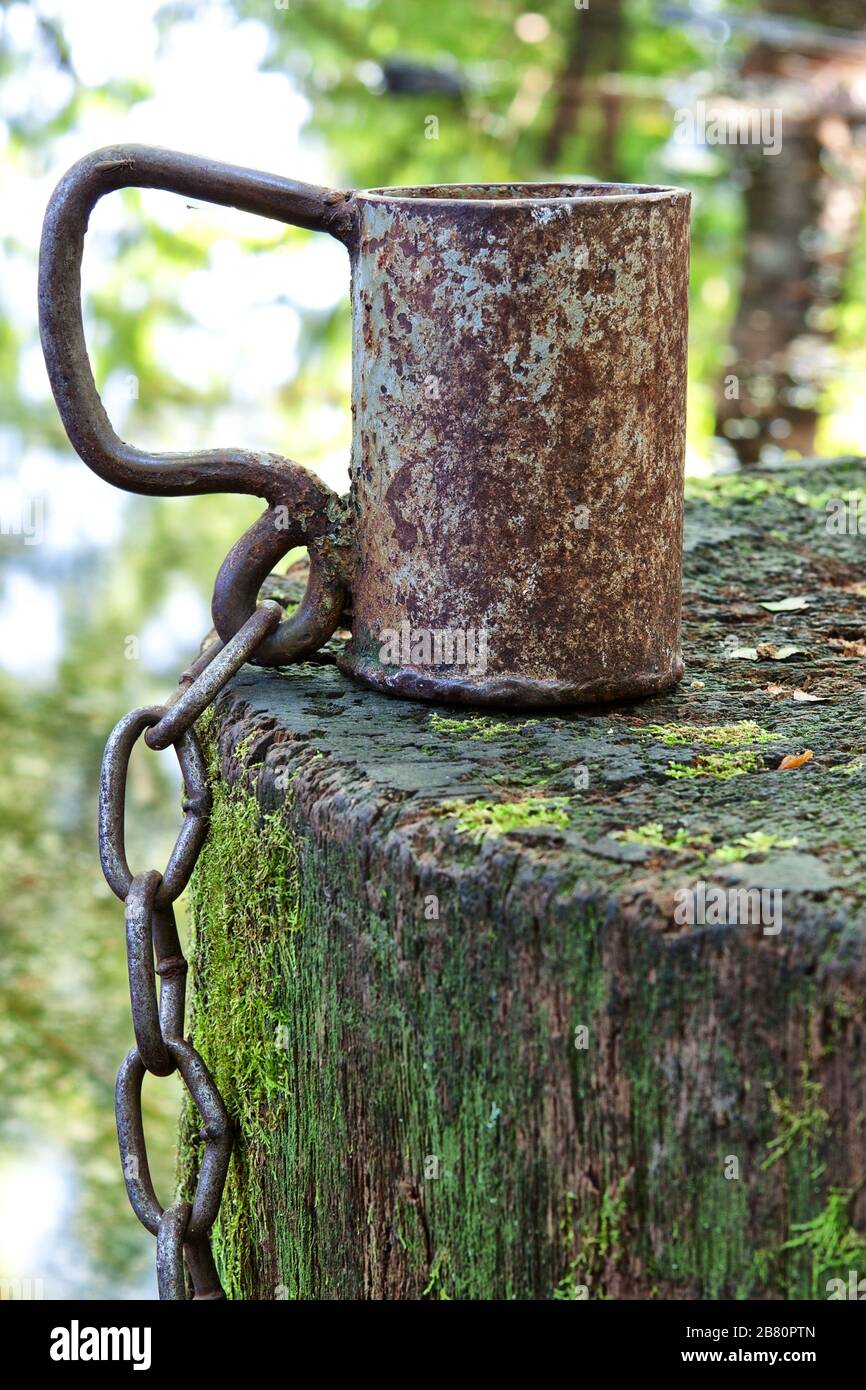 Old iron cup with a chain on the stump Stock Photo - Alamy