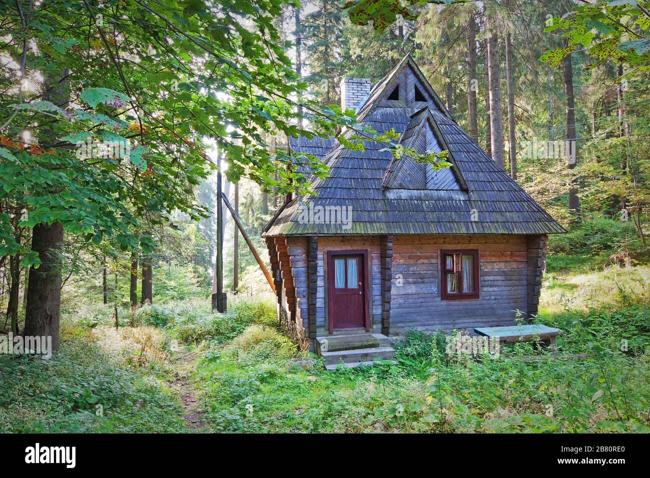 Old abandoned wooden house of the forest Stock Photo - Alamy