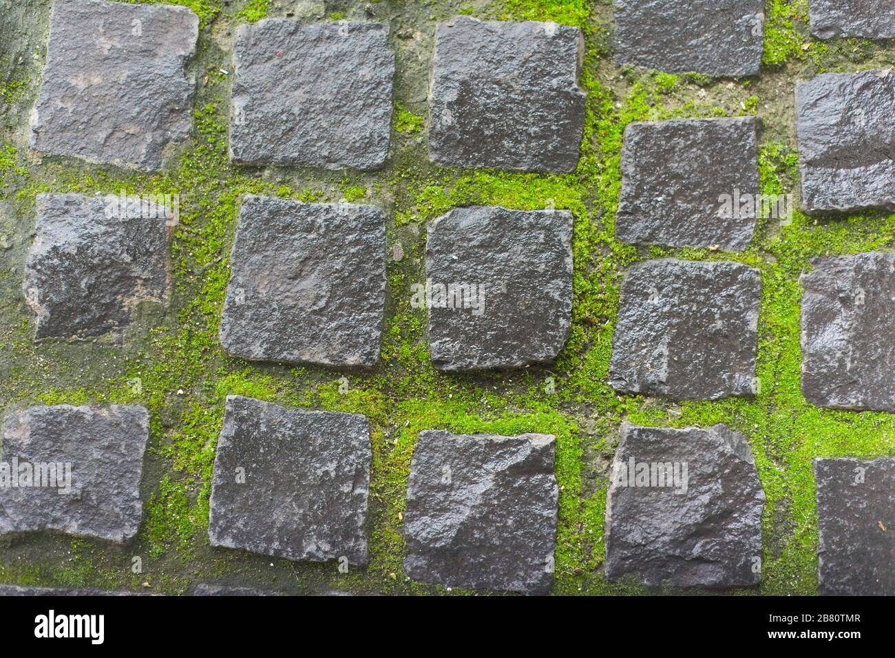 Background, texture, stone vintage square stones with light green mossy ...