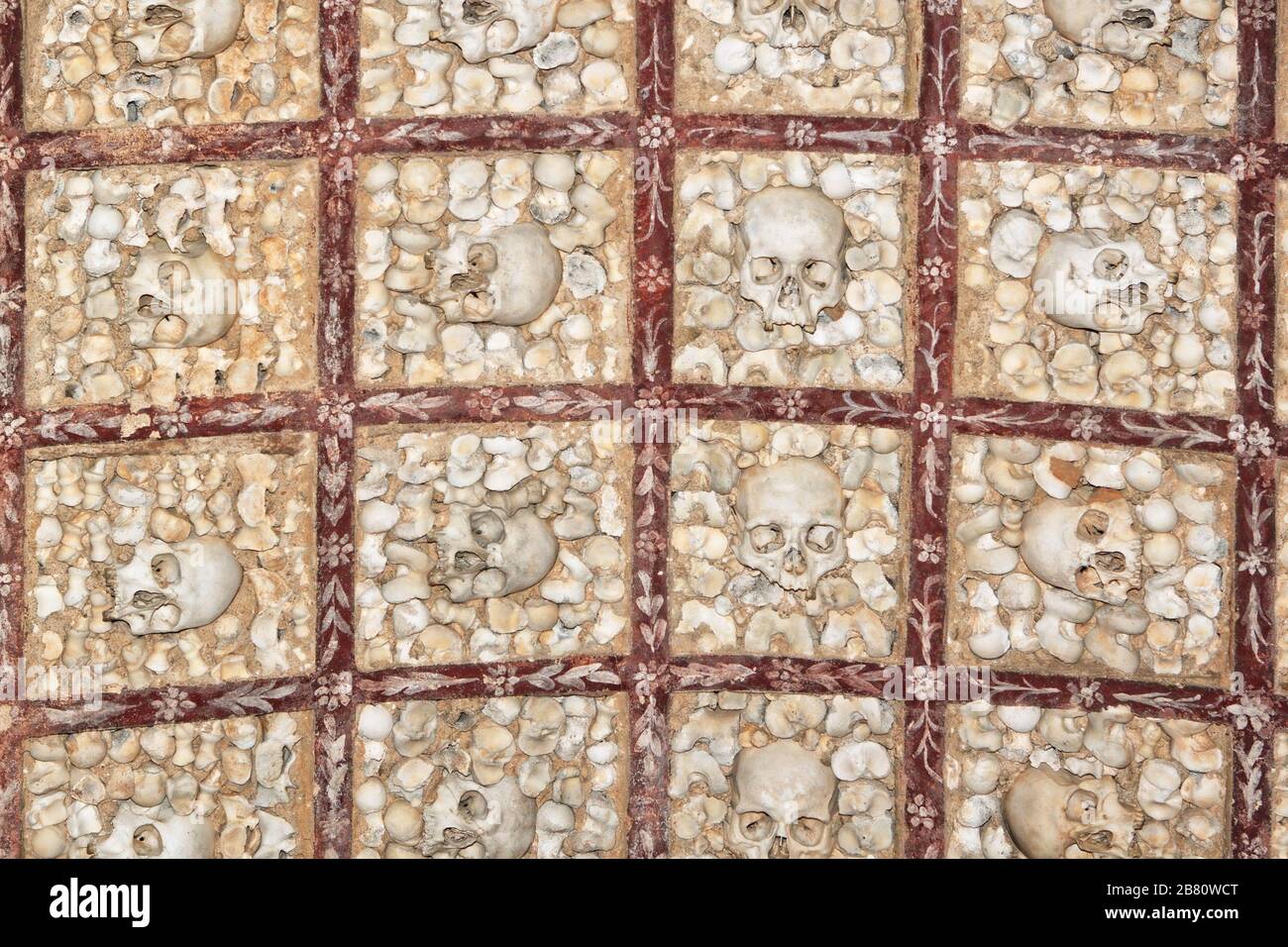 The human skull embedded in the bone Stock Photo - Alamy
