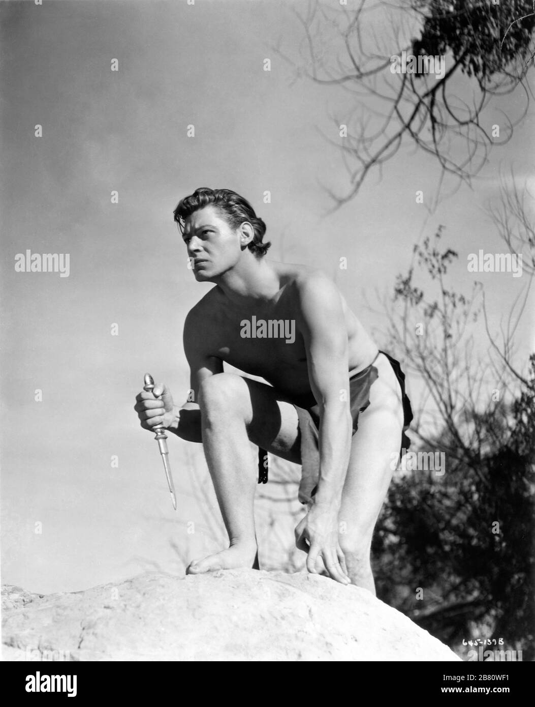 JOHNNY WEISSMULLER as Tarzan in TARZAN AND HIS MATE 1934 directors ...