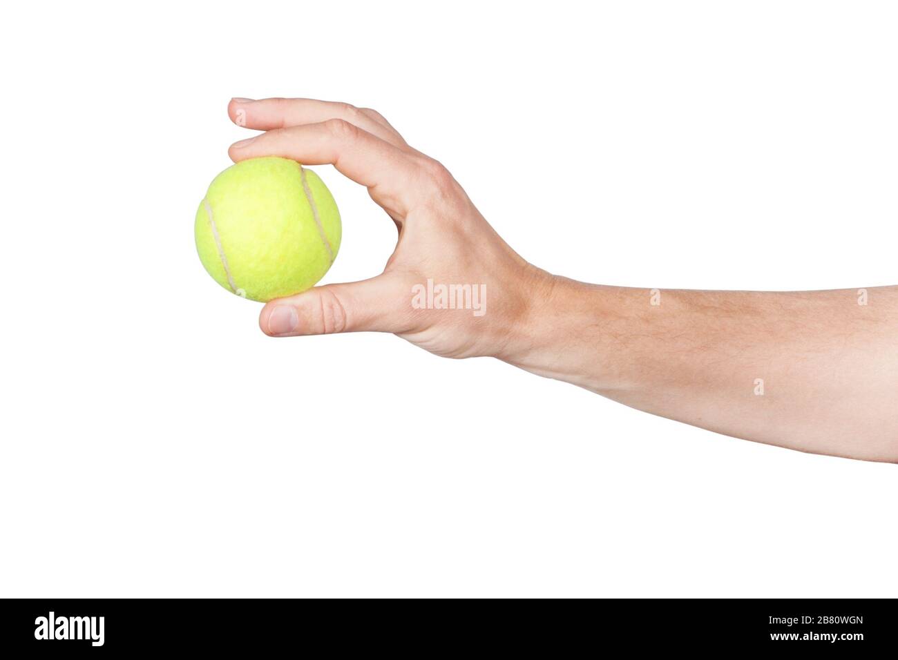 Tennis ball in his hand. On a white background Stock Photo - Alamy