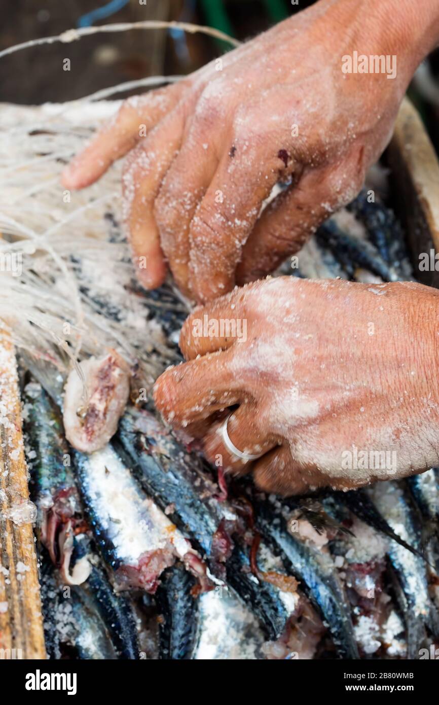 Essaouira seafood hi-res stock photography and images - Alamy