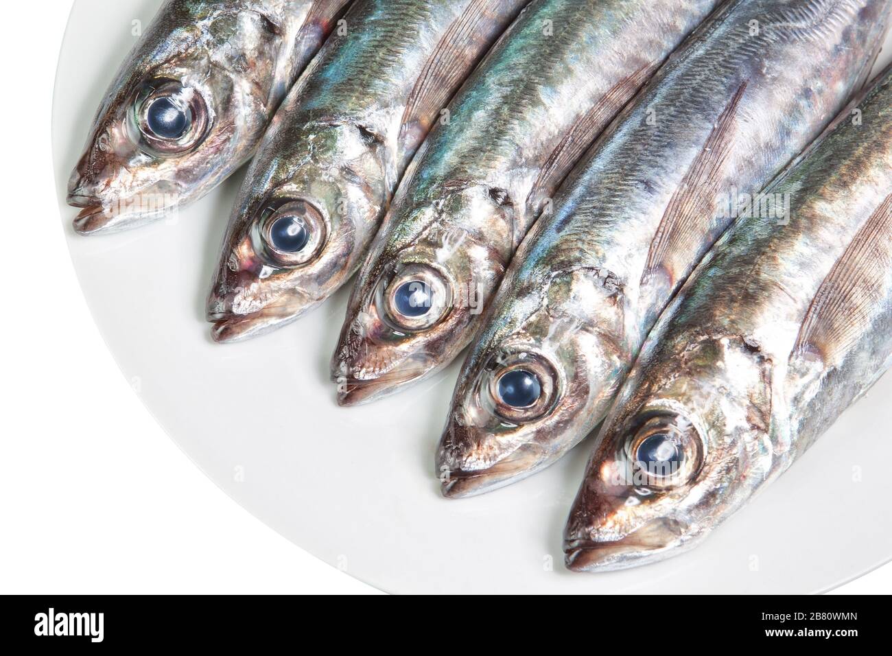 Whole mackerel on a plate hi-res stock photography and images - Alamy
