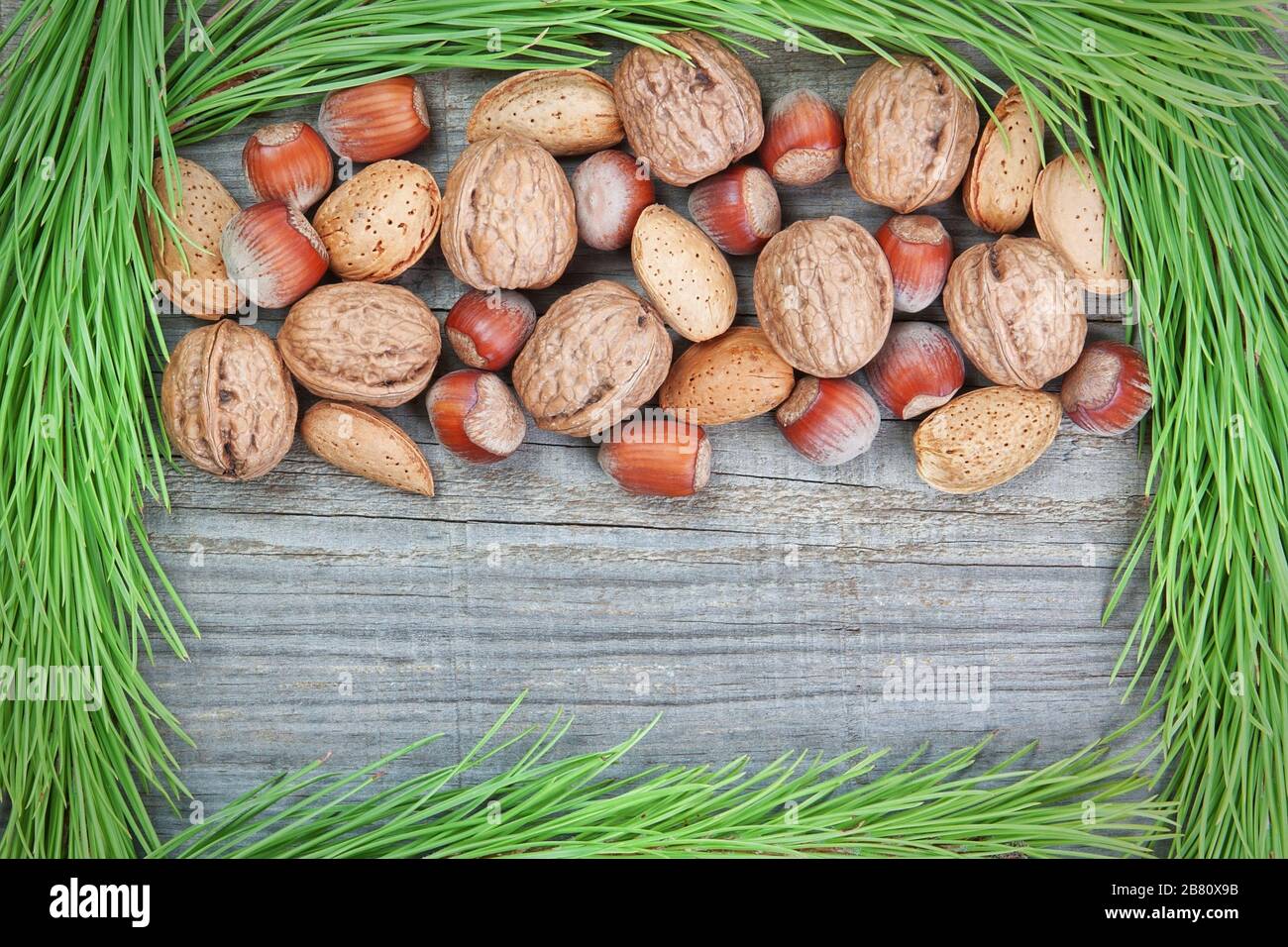 The frame of the branches of the Christmas tree and nuts Stock Photo ...