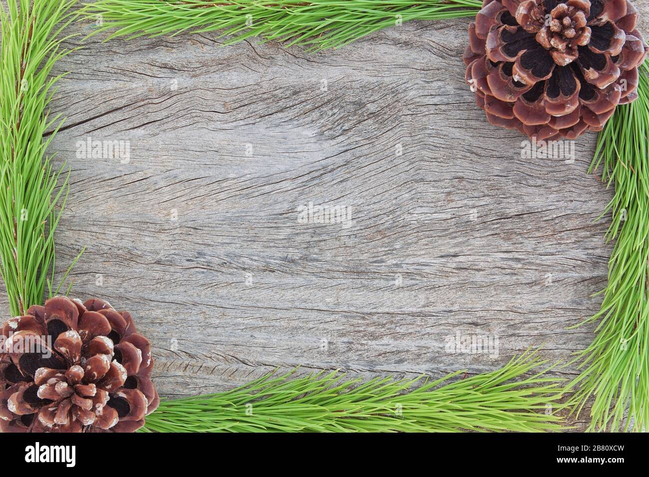 Christmas frame with green tree branches and cones hotshot Stock Photo ...