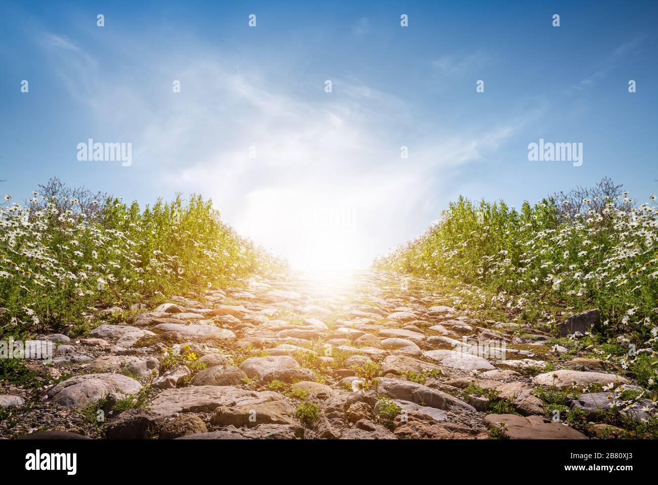 Medieval sun pattern hi-res stock photography and images - Alamy