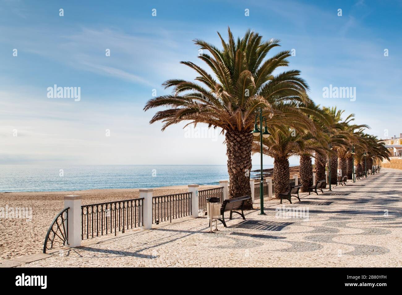 street on the beach with palm trees Stock Photo - Alamy