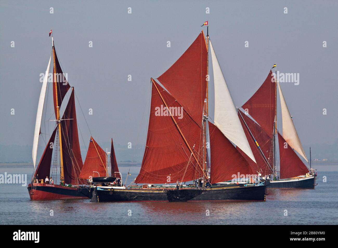 The Thames sailing barges Phoenician, Repertor and Decima, in full sail ...