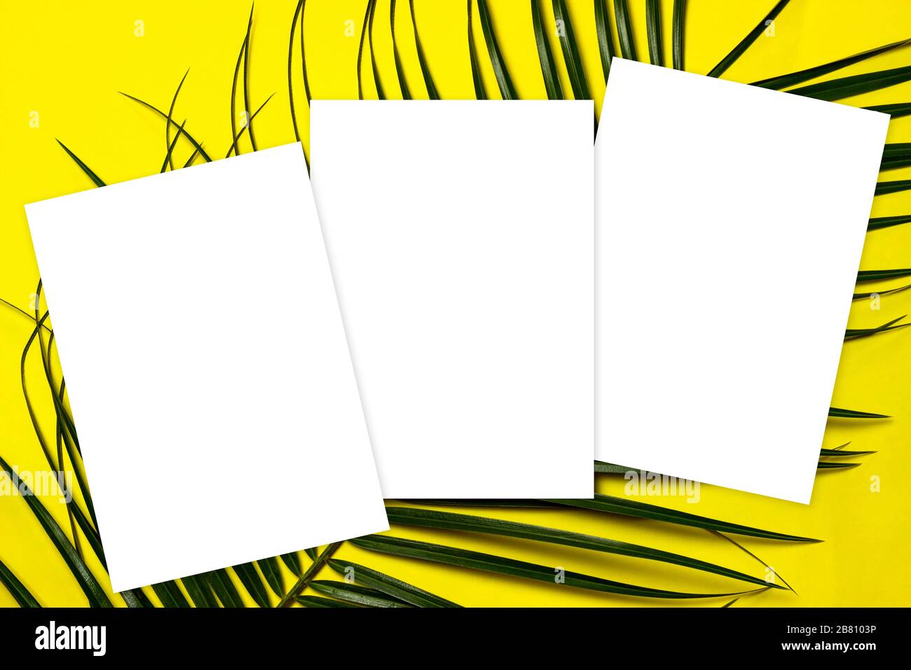 Photos for invitation cards hi-res stock photography and images - Alamy