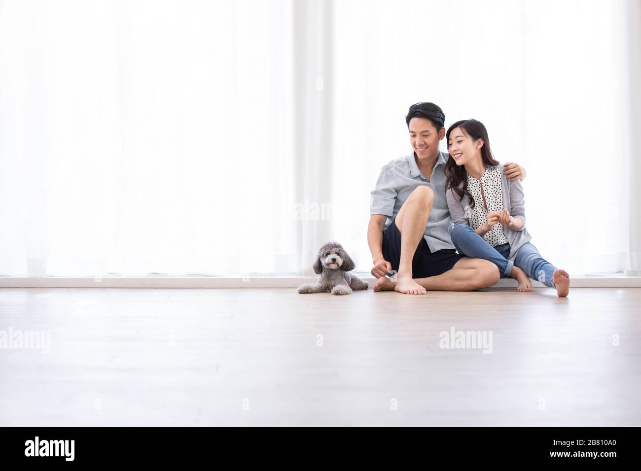 Happy young Chinese couple playing with dog in living room Stock Photo ...