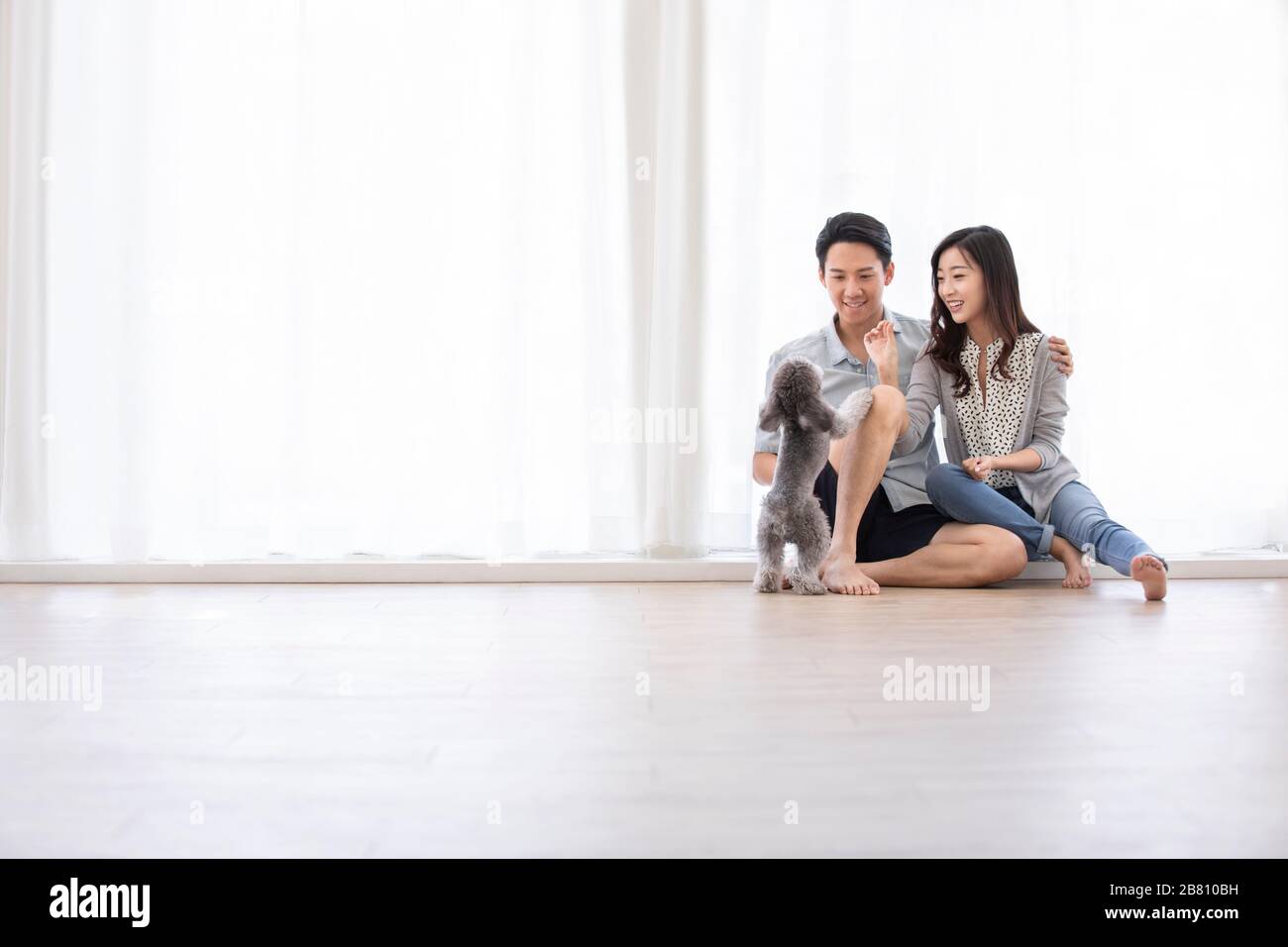 Happy young Chinese couple playing with dog in living room Stock Photo ...