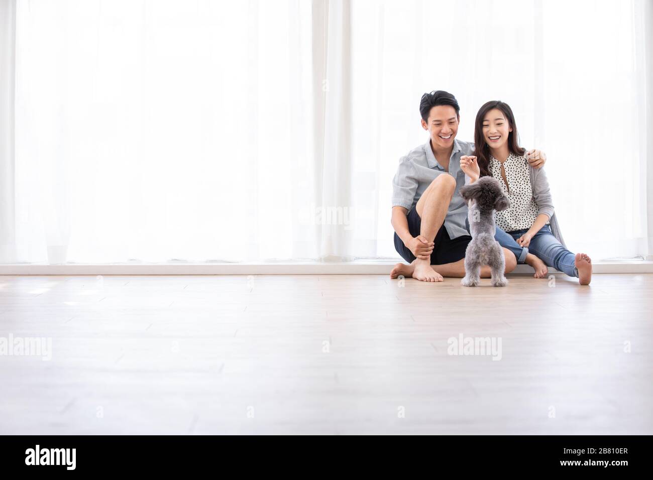 Happy young Chinese couple playing with dog in living room Stock Photo ...