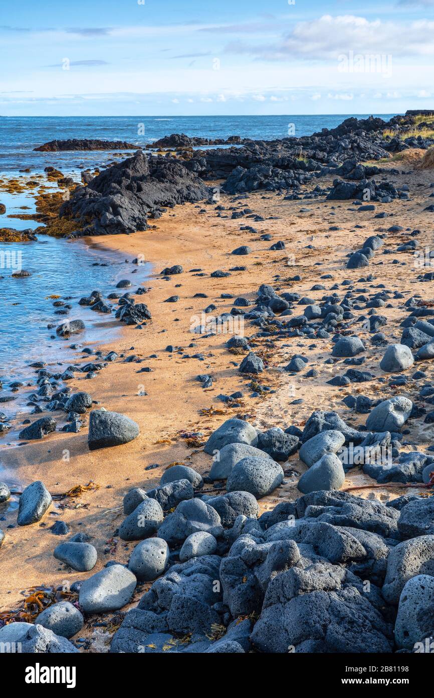 the only golden beach in Iceland is the beach of Buðir, covered from ...