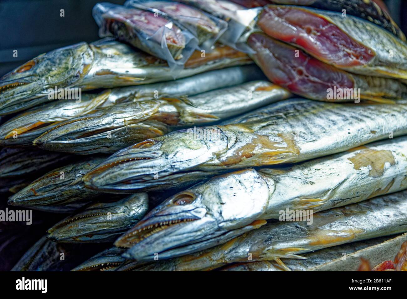 Fresh barracuda fish market hi-res stock photography and images - Alamy
