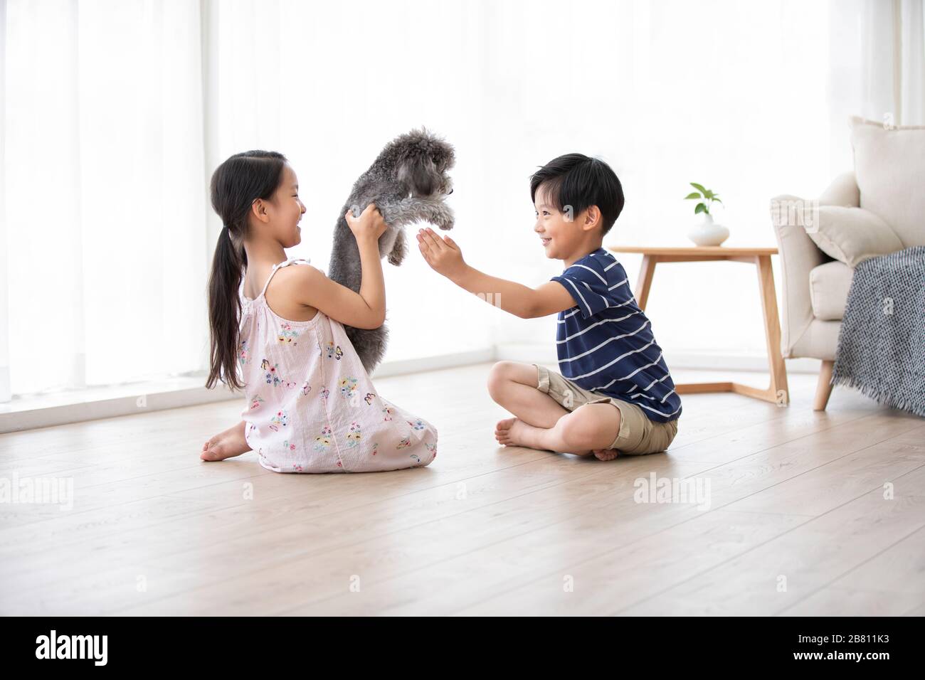 Happy Chinese sibling playing with dog in living room Stock Photo - Alamy