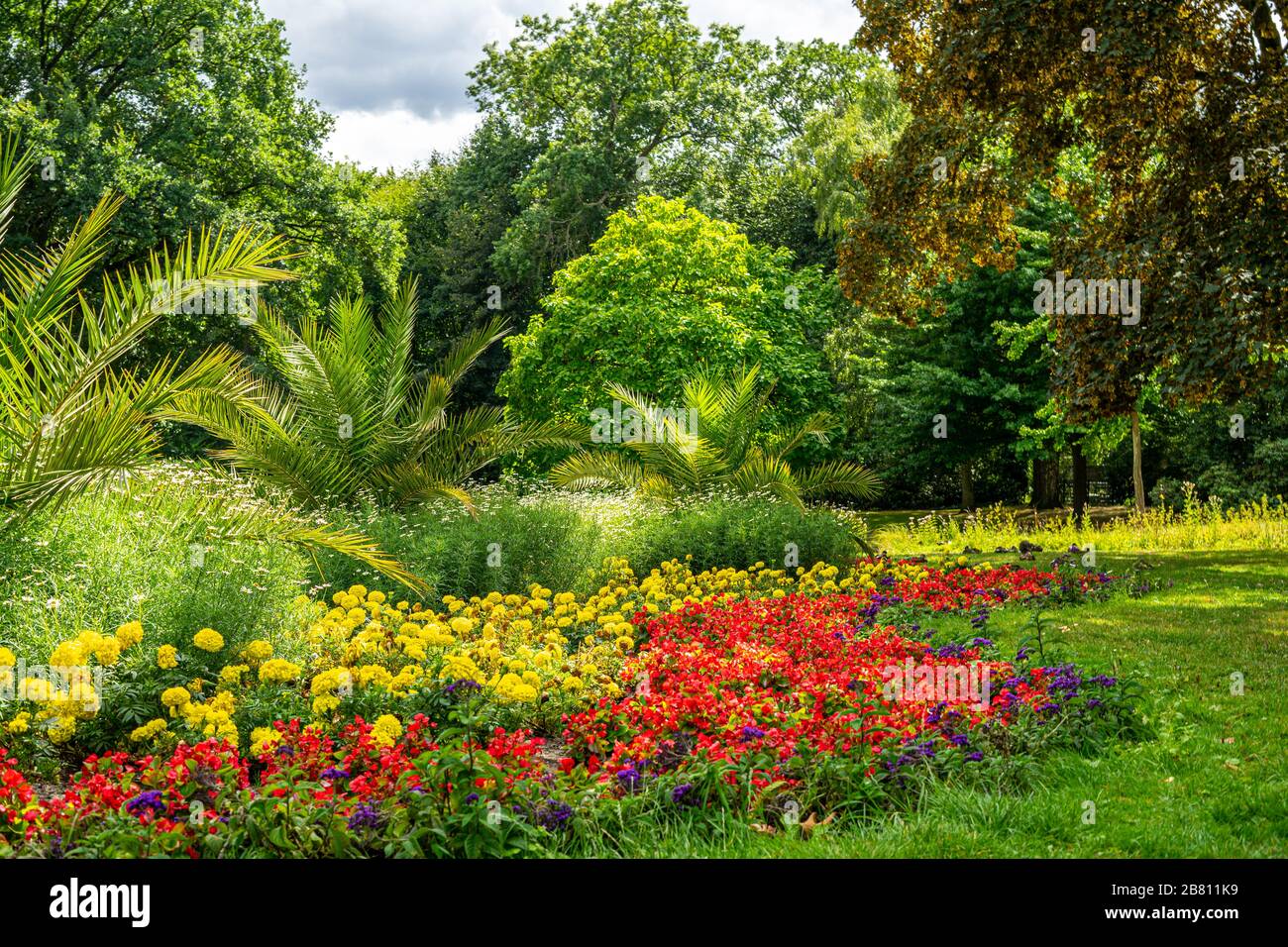 Flower bed in the forest with some red and yellow flowers Stock Photo ...