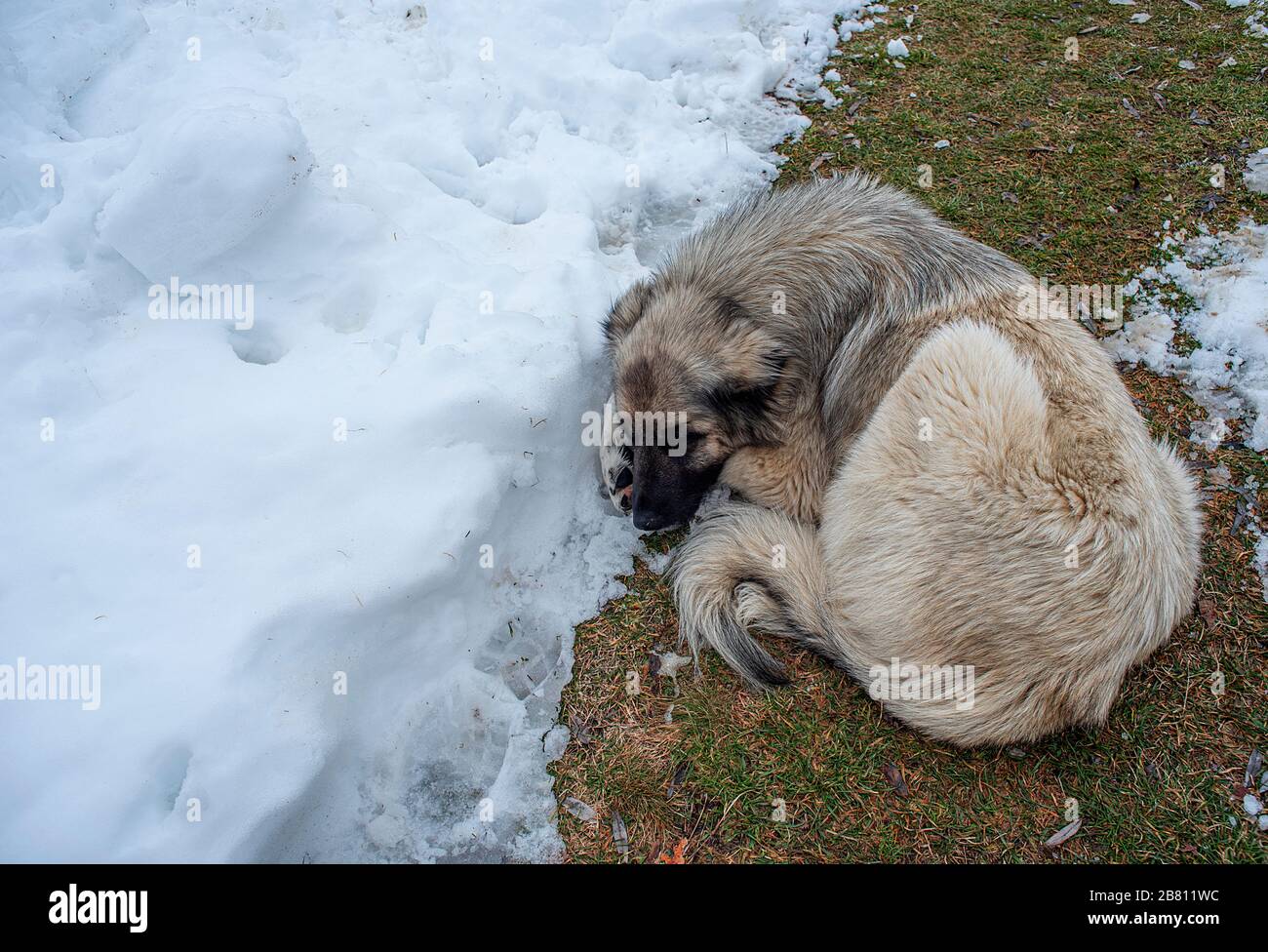 Homeless people sleeping in snow hi-res stock photography and images ...