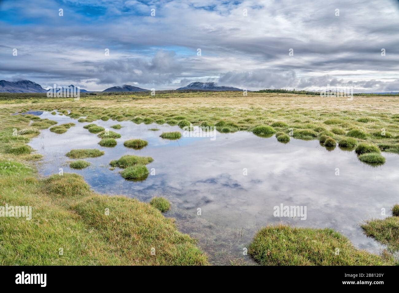 volcanic landscape with lake and moss covered lava field in the ...
