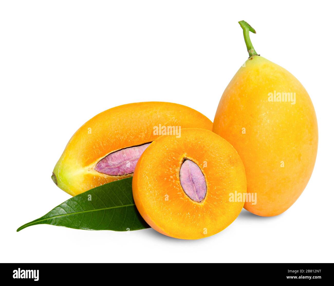 Maprang Fruit (Marian plum, Plum mango) isolated on white background ...