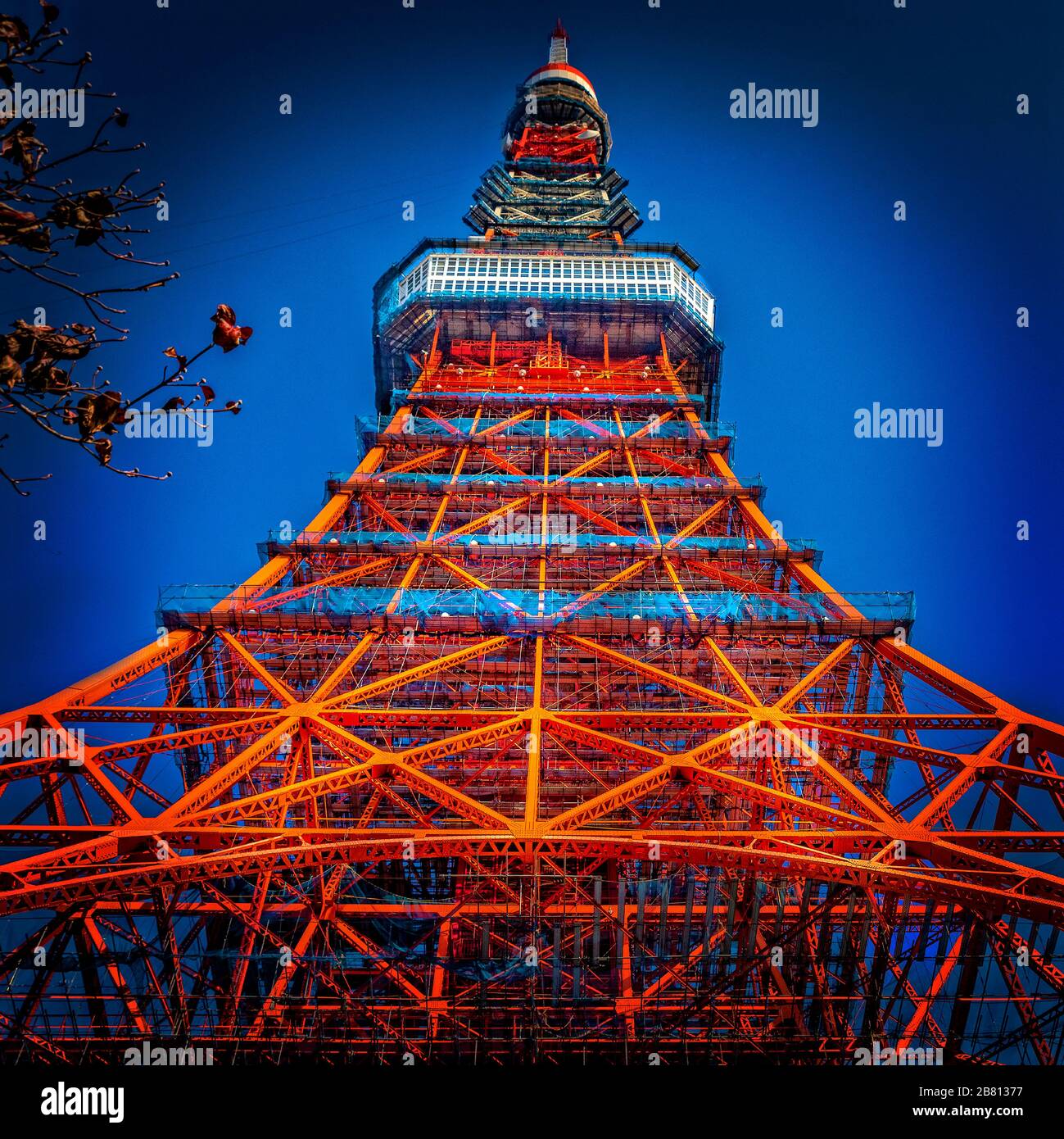 Tokyo view looking up hi-res stock photography and images - Alamy