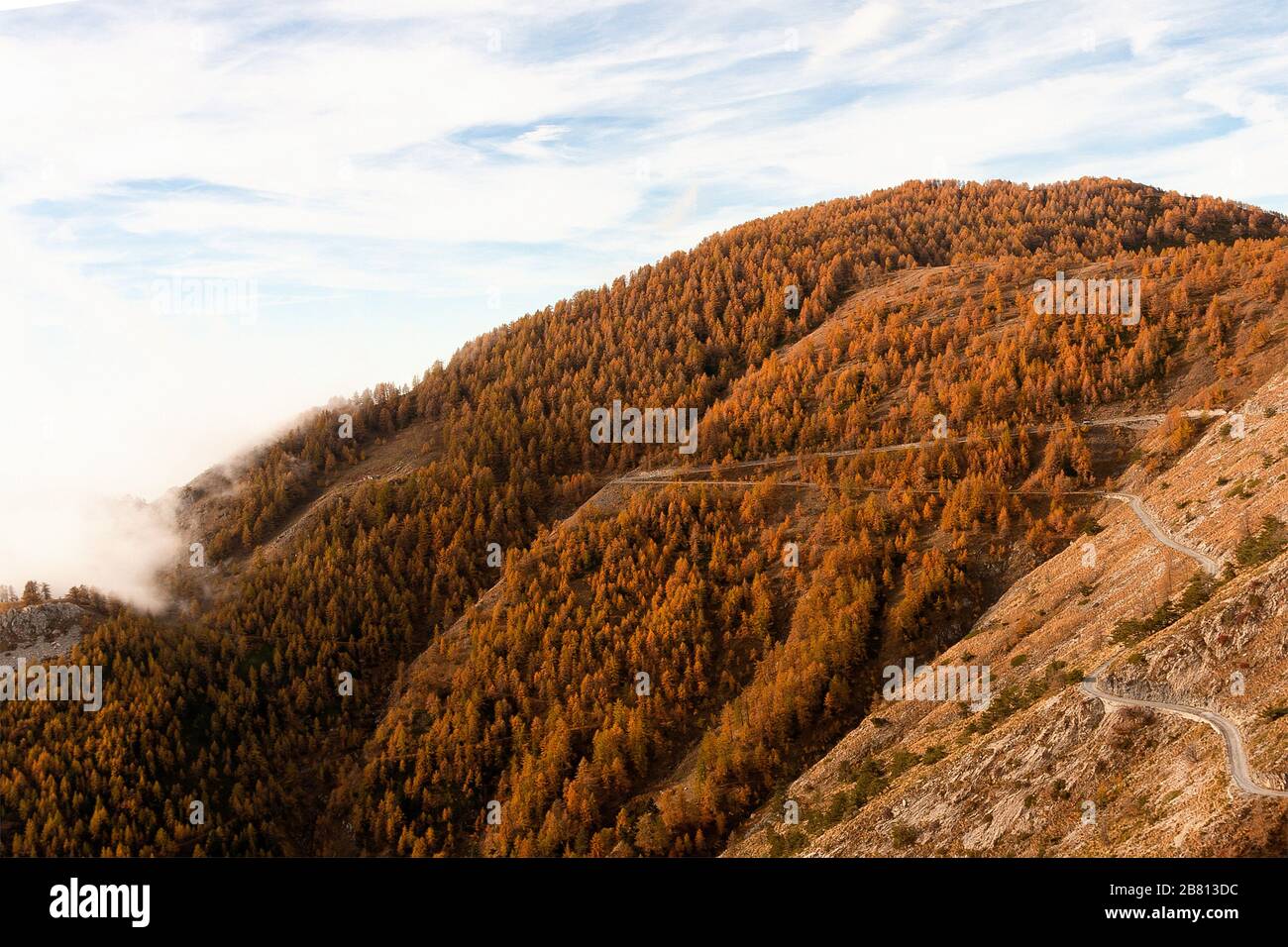 Meola hi-res stock photography and images - Alamy