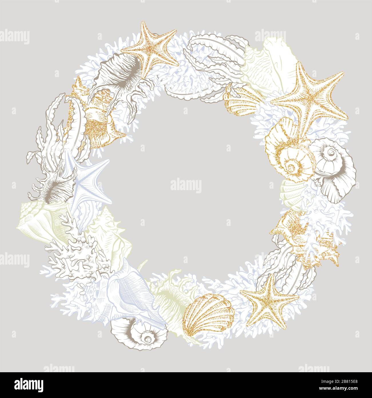 Seashell circle hi-res stock photography and images - Alamy