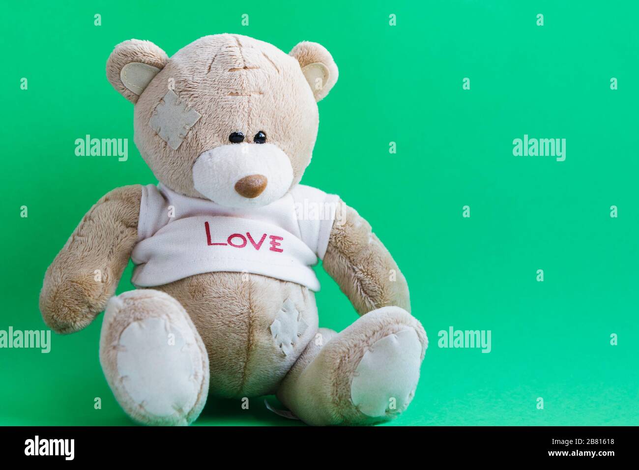 Green Teddy Bear With Love