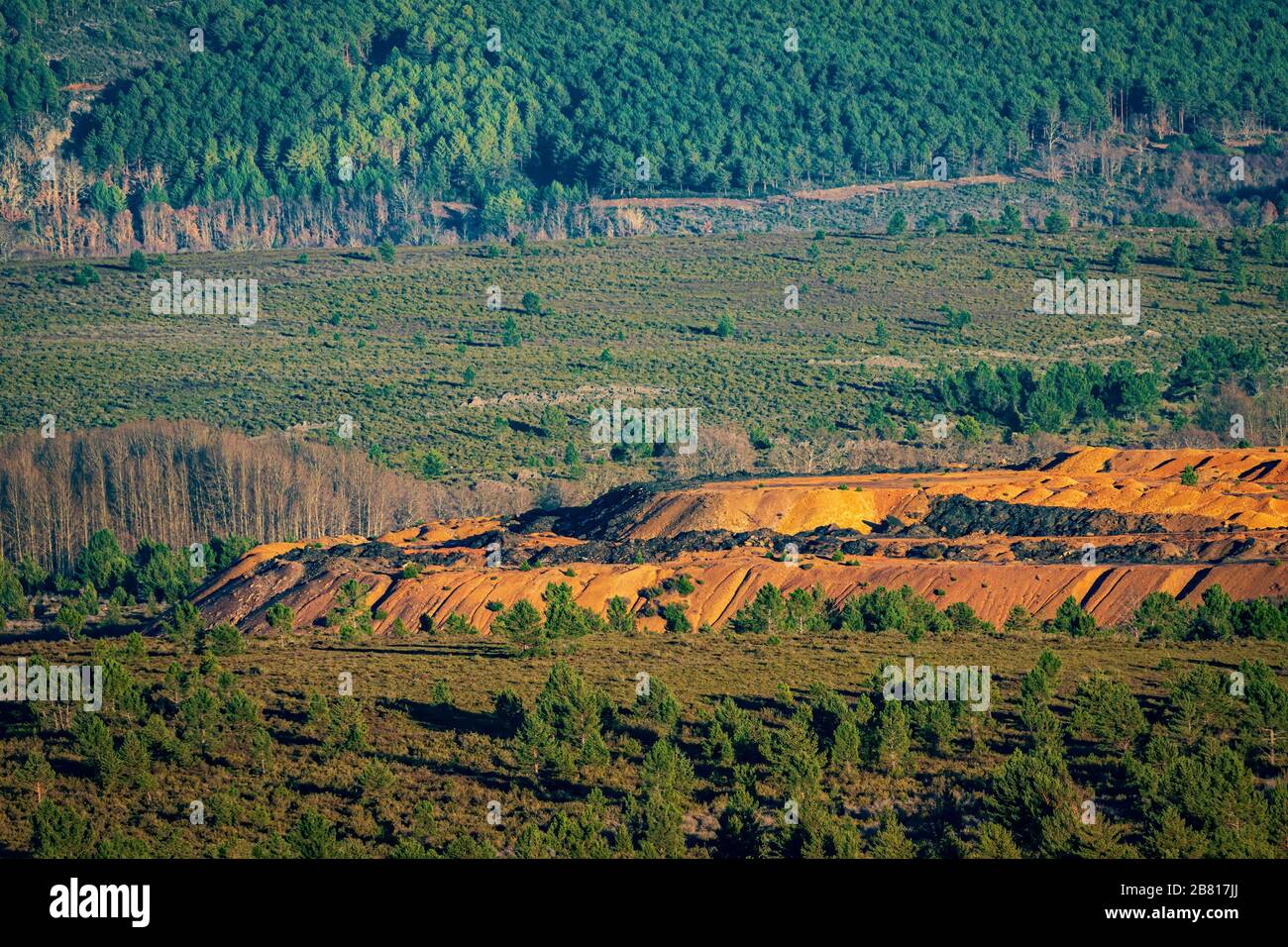 Slate mine in the wild with pine tree forest Stock Photo - Alamy