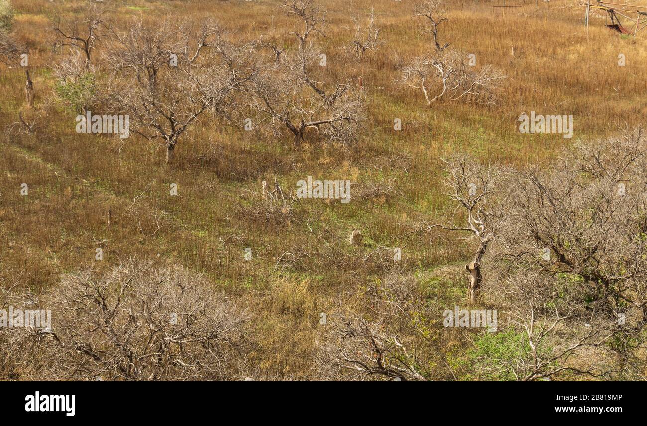 Empty plot of land hi-res stock photography and images - Alamy