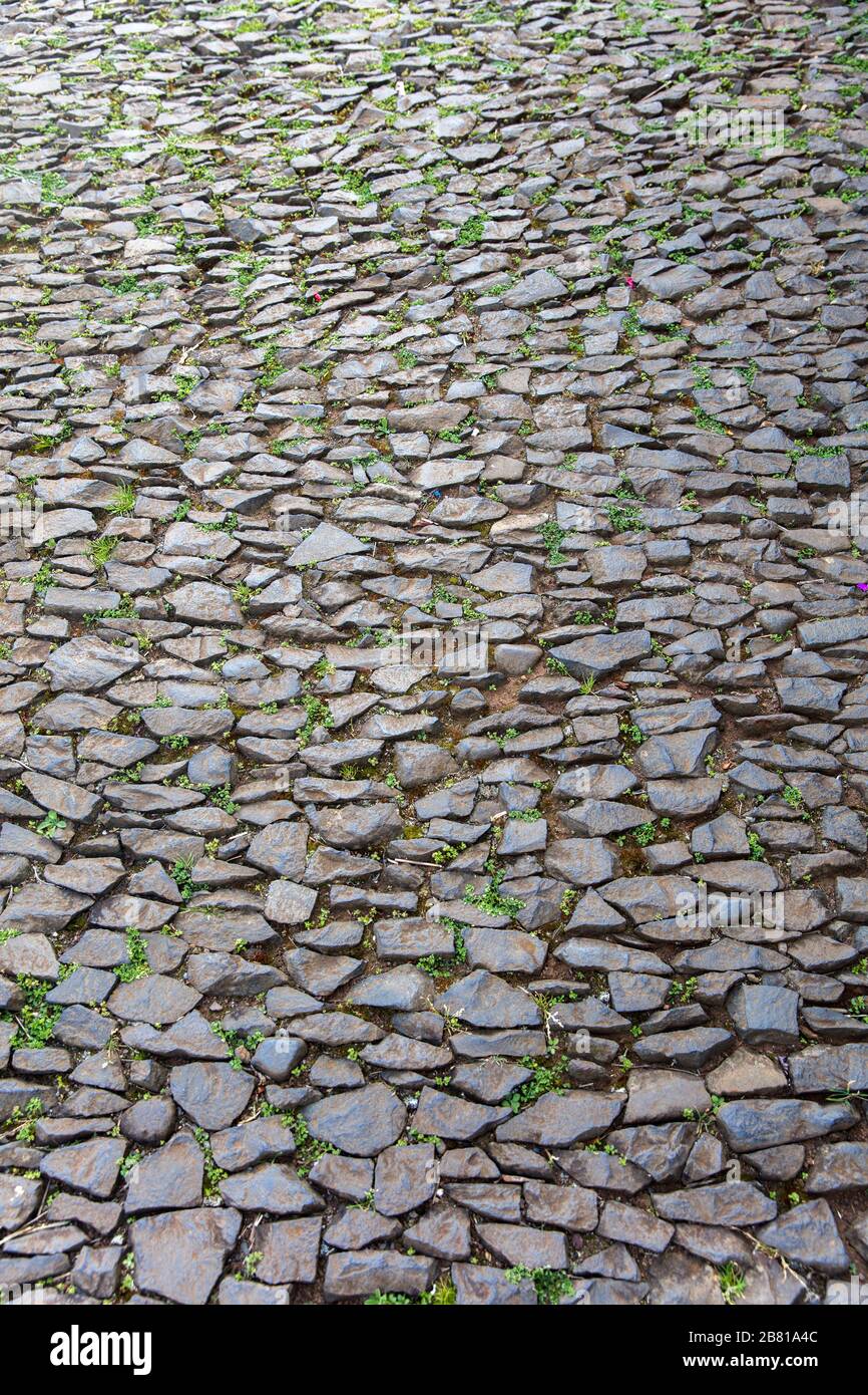 Pathway texture hi-res stock photography and images - Alamy