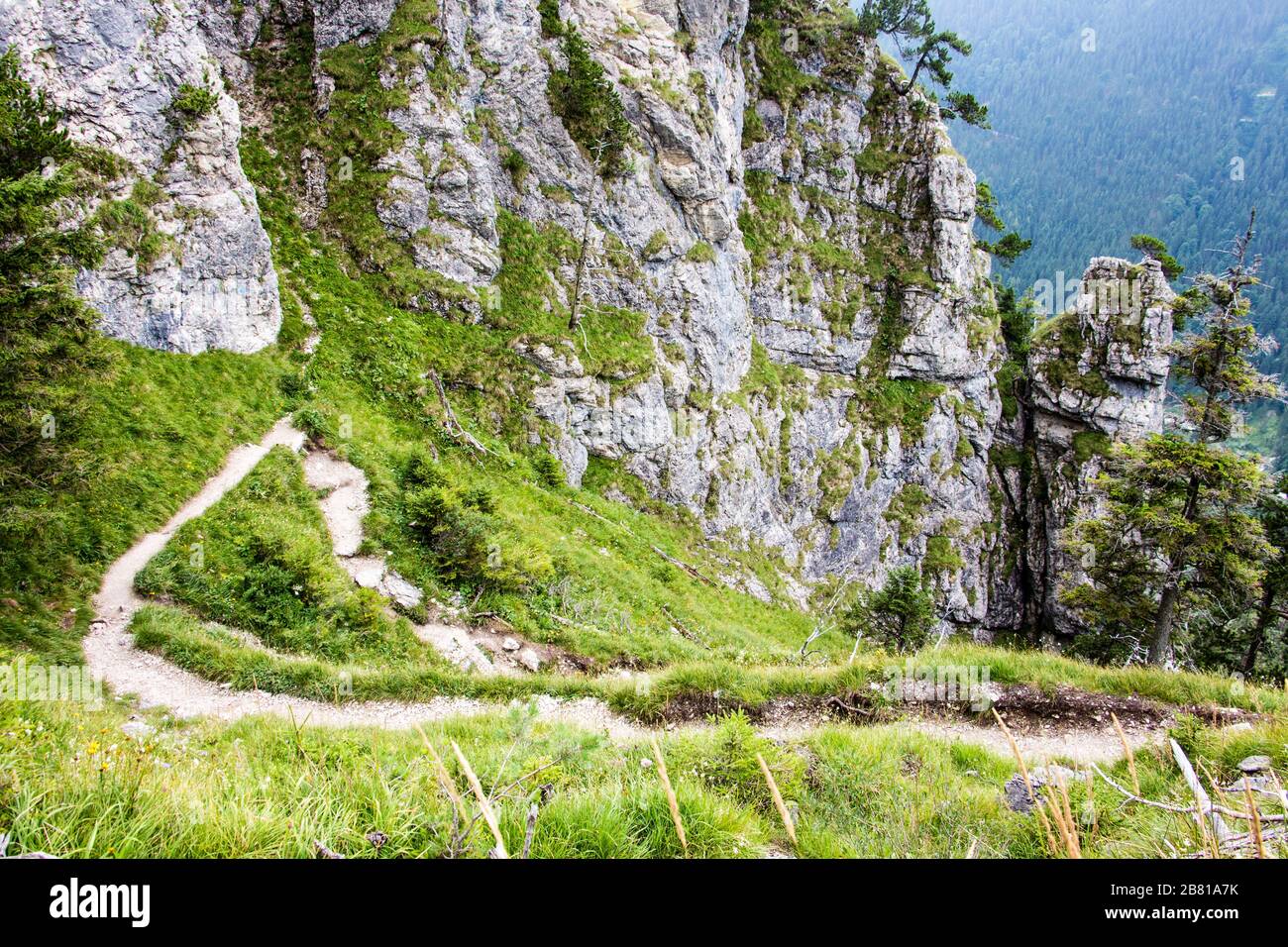 Hiking path near Fuessen, Neuschwanstein, Tegelberg, Bavaria, Germany ...