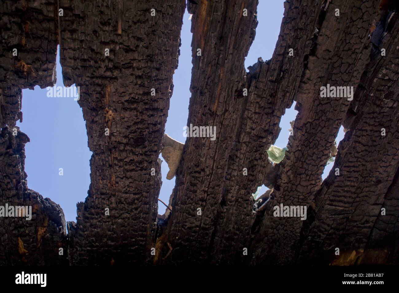 Natural fire ashes with dark grey black coals texture. It is a ...