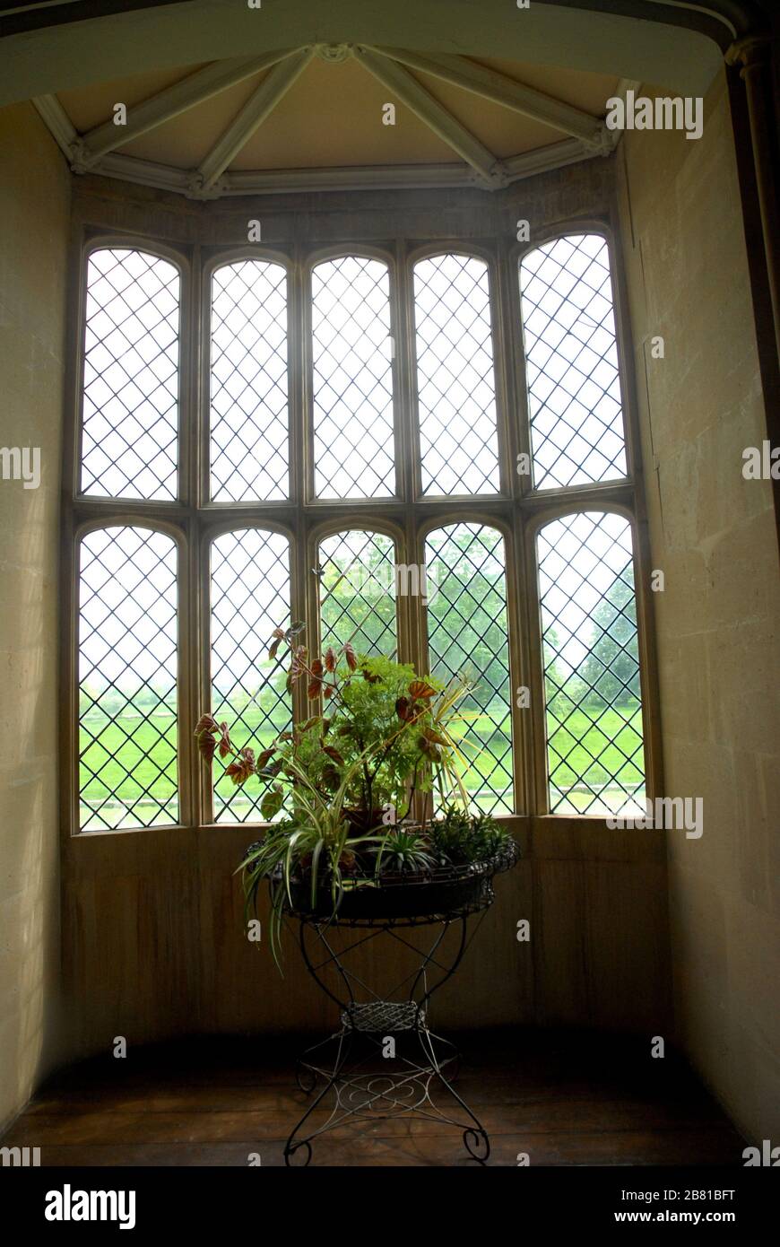 Beginning in 1834, Talbot experimented with a process which he called ...