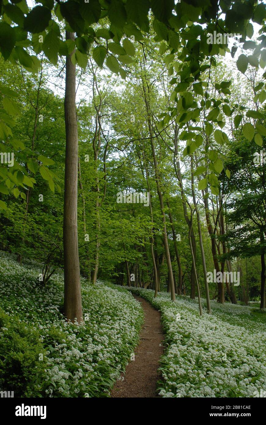 Prior park landscape garden bath hi-res stock photography and images ...