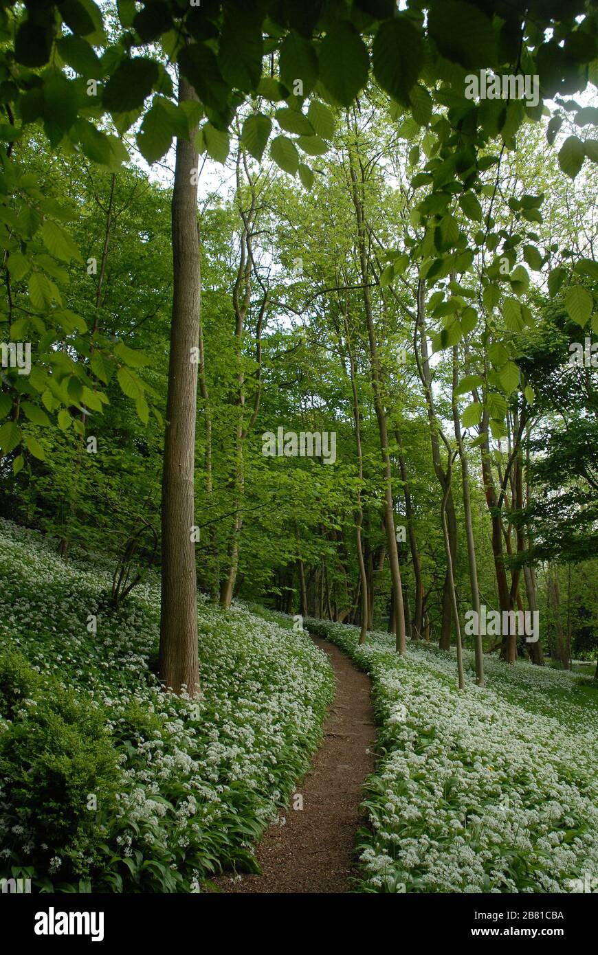 Prior park landscape garden bath hi-res stock photography and images ...