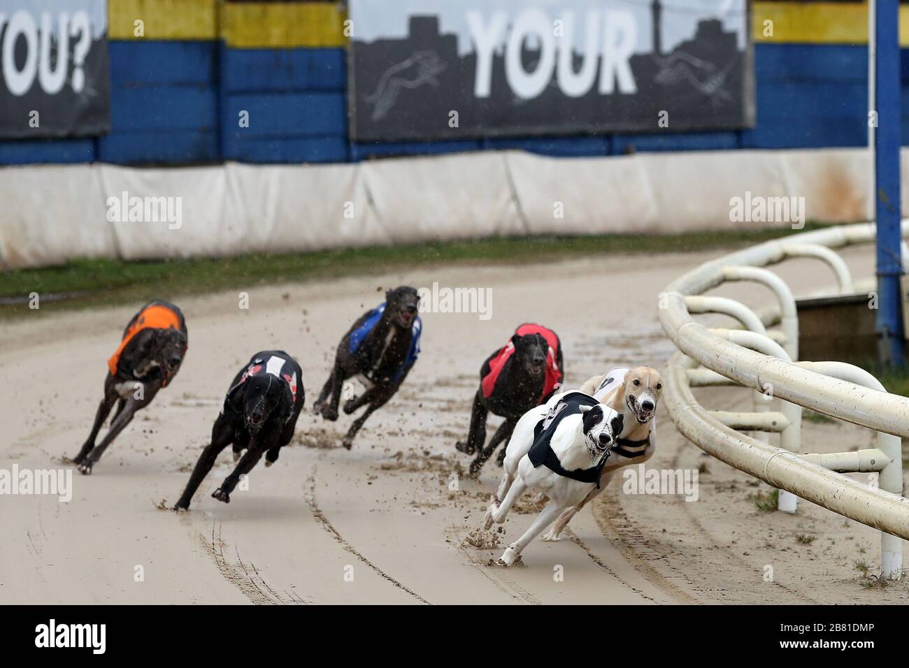 Perry barr greyhound racing hi-res stock photography and images - Alamy